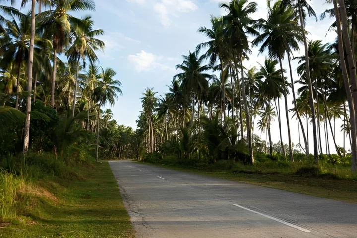 Best Things to Do in Goa Post-Monsoon